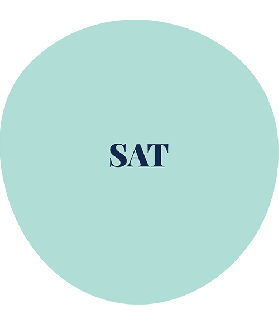 SAT - Test d'Aperception pour personnes âgées - Pearson Clinical ...